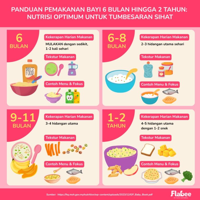 Panduan Pemakanan Bayi 6 Bulan Hingga 2 Tahun: Nutrisi Optimum Untuk ...